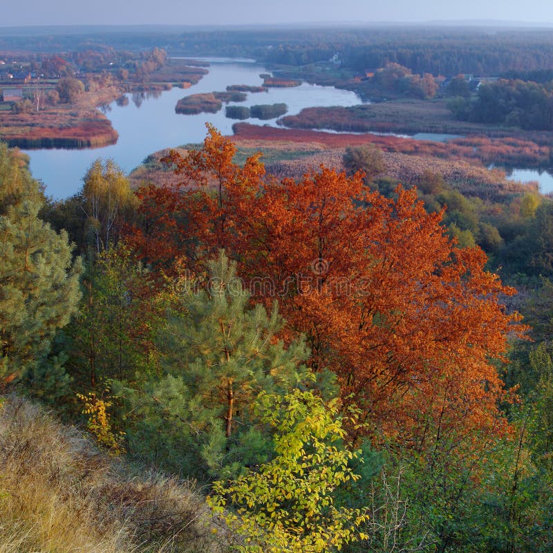 Gold autumn stock photo. Image of scenics, seasons, stream - 6945898