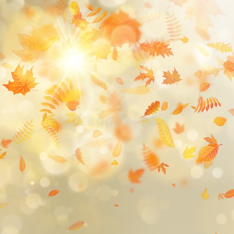 Gold Autumn Bokeh Background with Maple Autumn Leaves. EPS 10 Stock ...