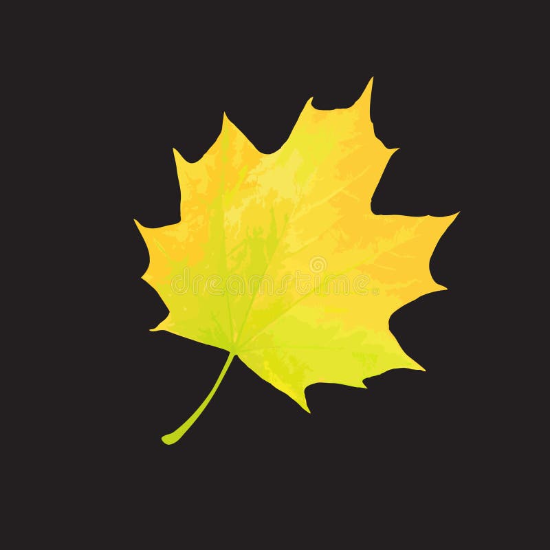 Gold autumn leaf stock vector. Illustration of plant - 48102968
