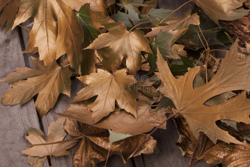 Gold Autumn Leaves Background Stock Photo - Image of decor, nature ...