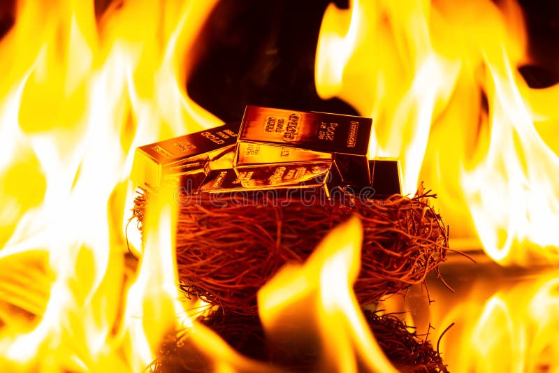 Gold Bars on Nest Surrounded by Big Fire Concept Investment Risk Stock ...