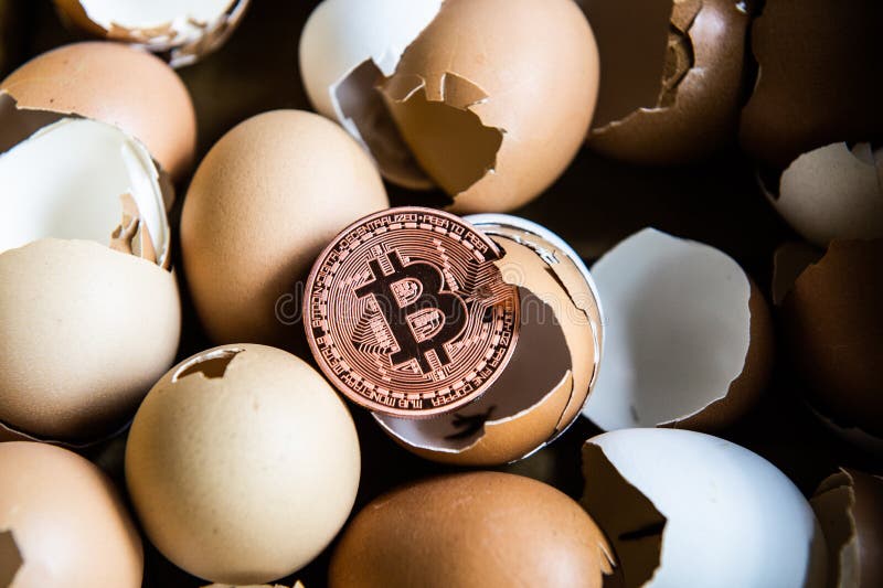 125 Chicken Gold Coin Stock Photos - Free & Royalty-Free Stock Photos ...