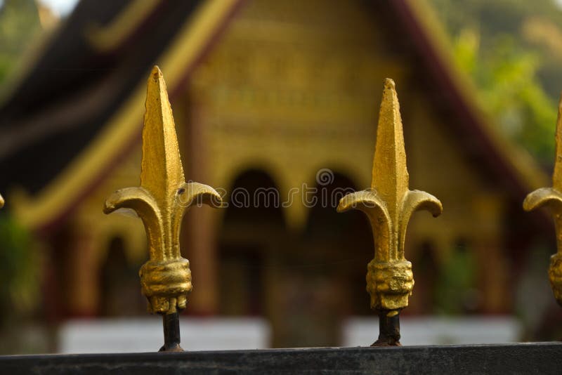 Gold and Black Wrought Iron Gate Stock Photo - Image of iron ...