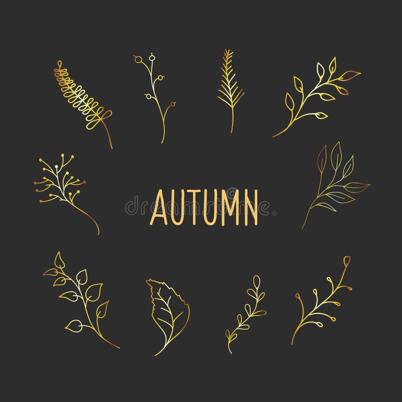 Gold Botanic Design Elements. Drawings of Plants in the Style of Doodle ...