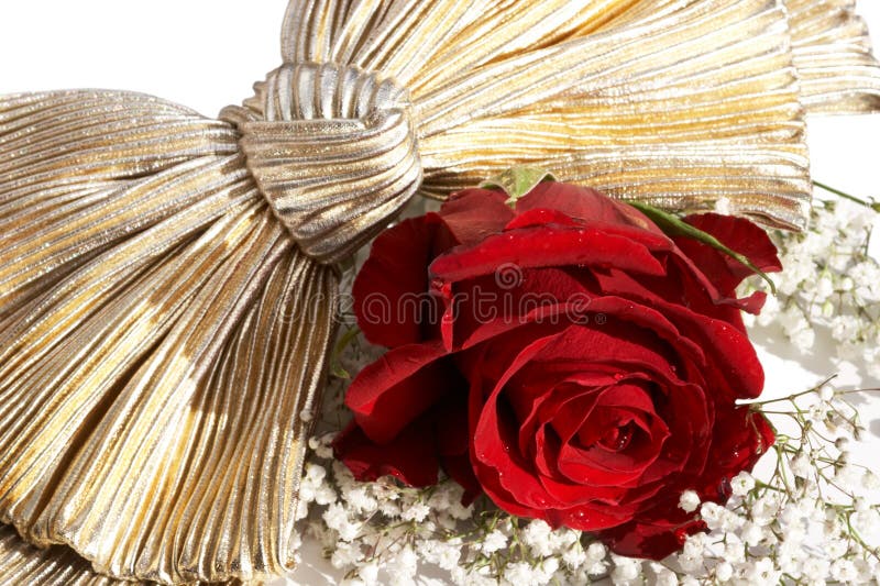 Gold bow with rose stock photo. Image of gold, drop, baby - 21141732