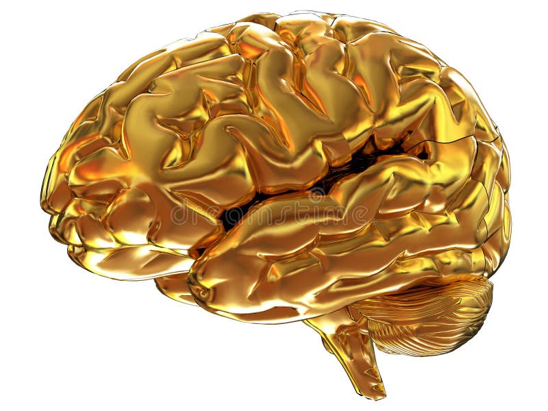 Gold brain in gold head stock illustration. Illustration of doctor ...