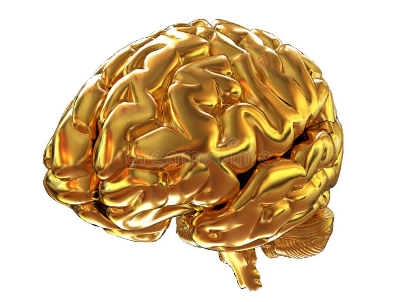 Gold brain. 3d render stock illustration. Illustration of gold - 126390460