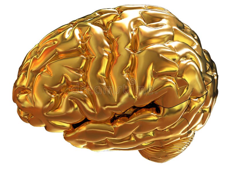 Gold brain. 3d render stock illustration. Illustration of memory ...