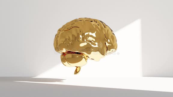 Gold Brain in Empty Room 3d Stock Illustration - Illustration of room ...