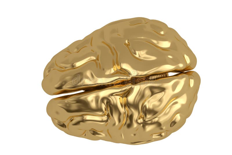 Gold Brain Isolated on White Background, 3D Illustration Stock ...