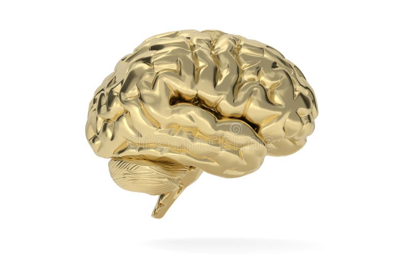 Gold brain in gold head stock illustration. Illustration of doctor ...