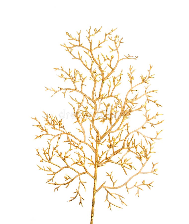 Gold branch stock photo. Image of christmas, backdrop - 22341174