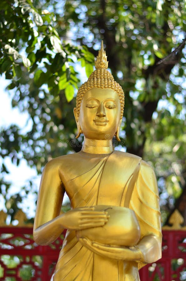 Gold Buddha statue stock photo. Image of wonder, religion - 46014806