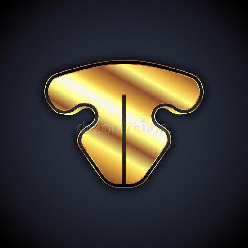 Gold Cat Nose Icon Isolated on Black Background. Vector Stock Vector ...