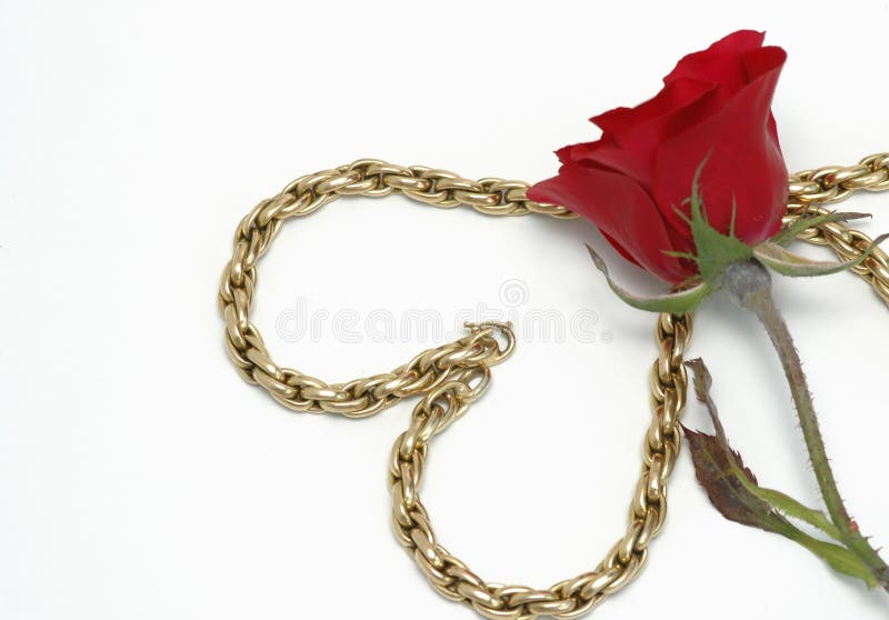 Gold chain stock photo. Image of luxury, chain, engagement - 1455902