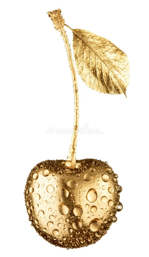Gold cherry stock photo. Image of single, sweet, beautiful - 31851812