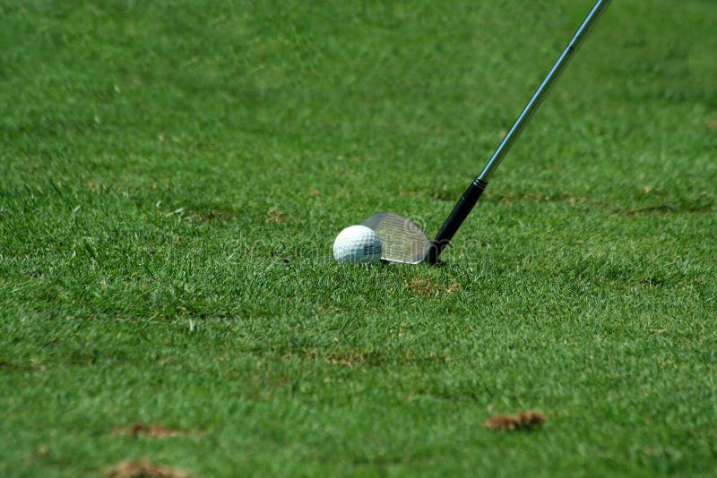 Gold club and ball stock photo. Image of golf, green, club - 6154770