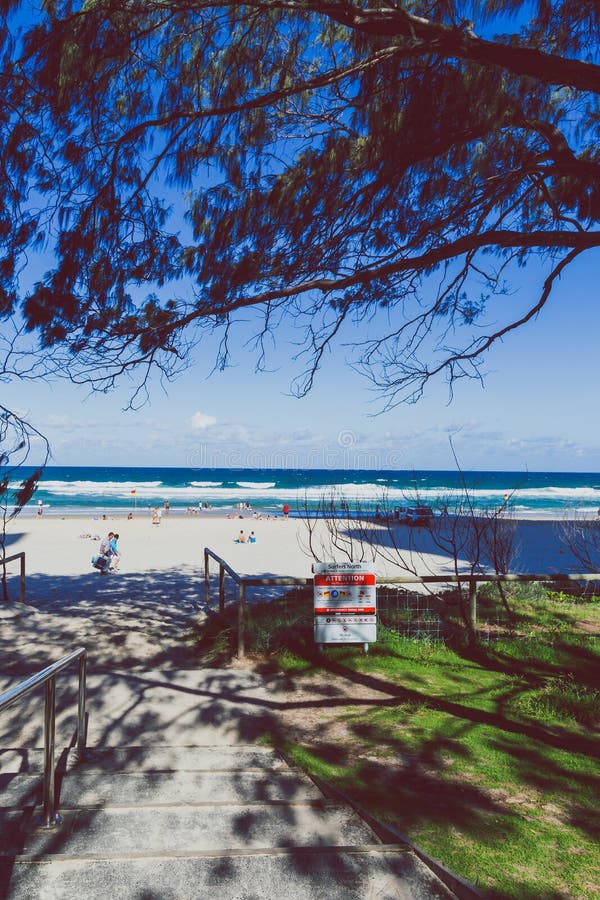 Greenery in Front of the Pristine Beach in Surfers Paradise Editorial ...
