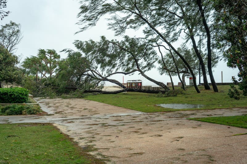 Gold Coast, QLD, Australia - Mar 8, 2025: Cyclone Alfred Aftermath in ...