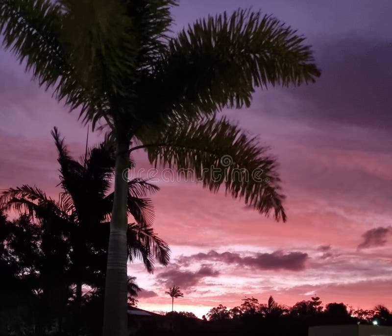 Gold Coast Sunset Pink Skies Stock Photo - Image of sunlight, sunset ...