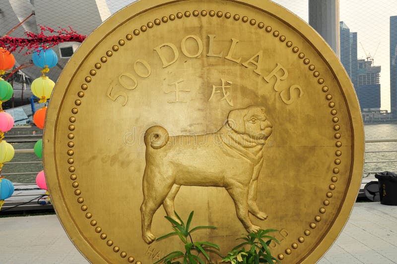 Gold coin of dog stock image. Image of gold, tradition - 20510433