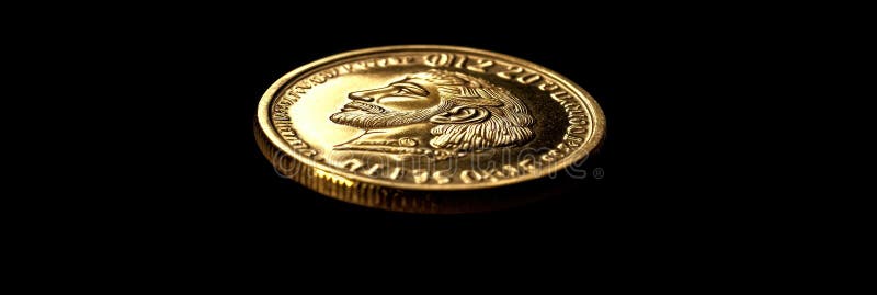 Gold Coin with a Profile of a Man on a Dark Background Stock Image ...