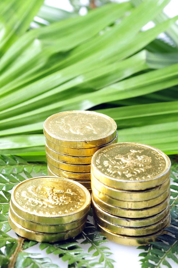Gold coins in nature stock image. Image of gold, leaves - 11718217