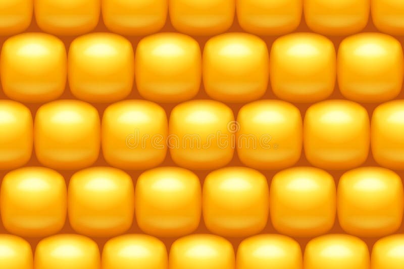 Gold Corn Maize, Shining VECTOR Illustration, Glowing Background ...