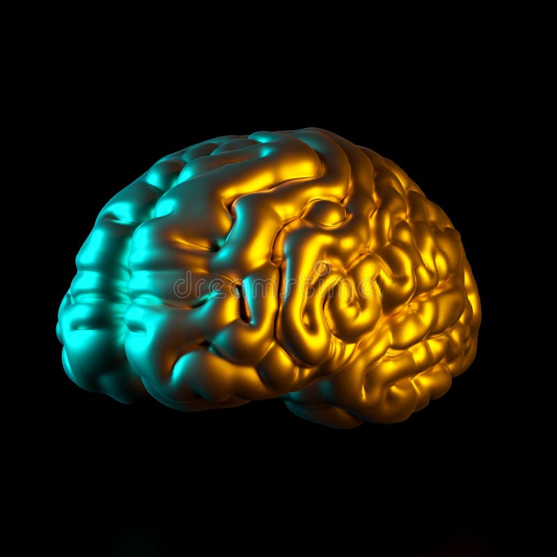 Golden Human Brain Side Stock Illustrations – 29 Golden Human Brain ...