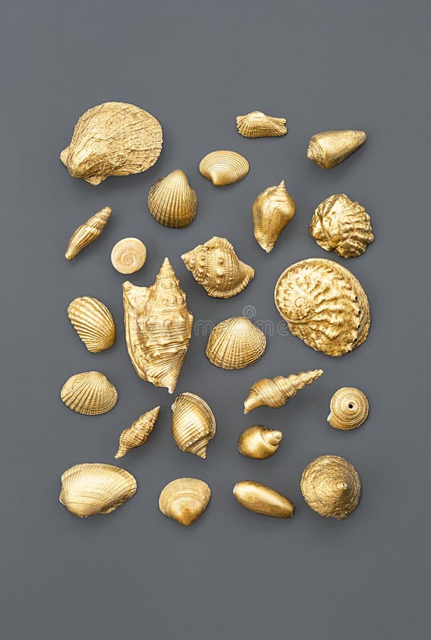 Gold Coloured Seashells Collection Stock Photo - Image of simplicity ...