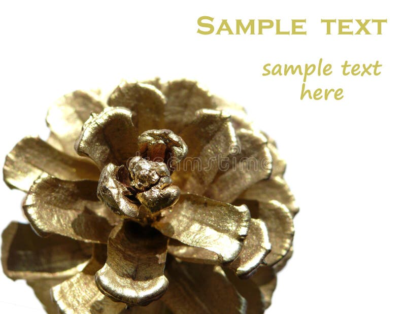 Gold Cone Picture. Image: 6234993