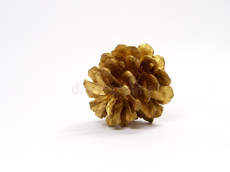 Gold cone stock photo. Image of brown, tree, christmas - 7580582