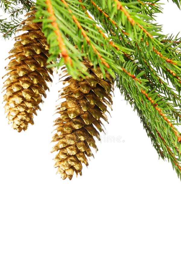 Gold cones stock photo. Image of congratulation, fruit - 46333510
