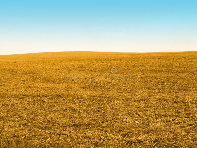 Corn field stock image. Image of fall, gloomy, combine - 1456197
