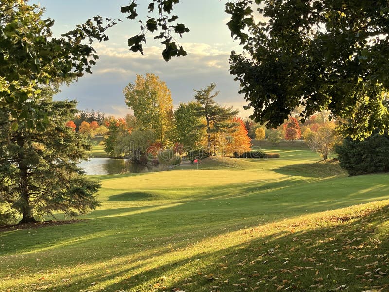 232 Marks Cast Carve Stock Photos - Free & Royalty-Free Stock Photos ...