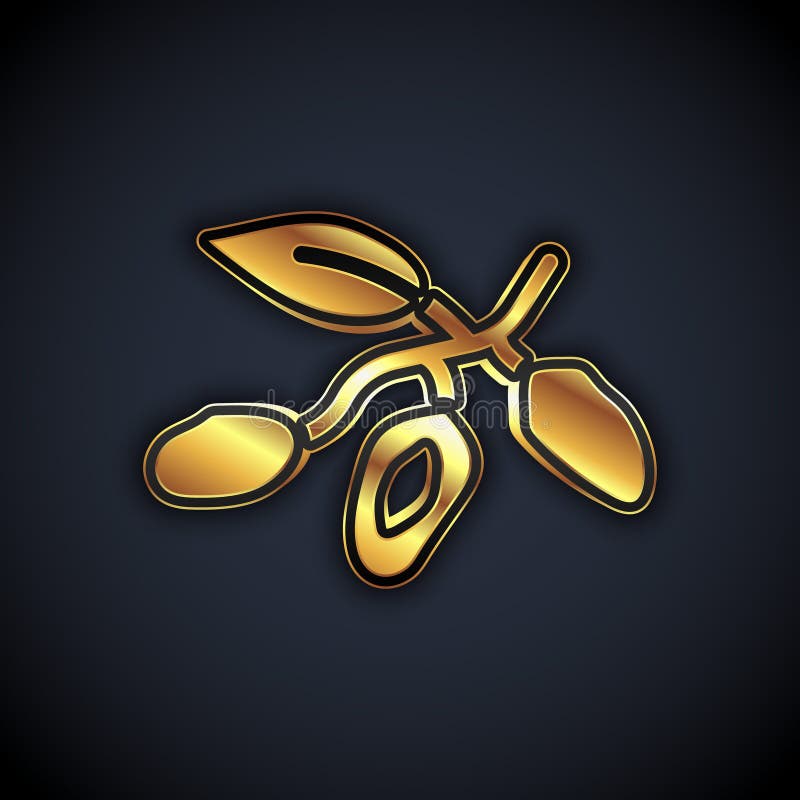 Gold Date Fruit Icon Isolated on Black Background. Vector Stock ...