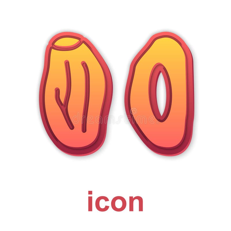 Gold Date Fruit Icon Isolated on White Background. Vector Stock Vector ...