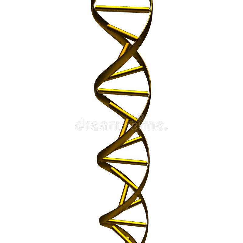 Stylized DNA double Helix stock illustration. Illustration of biology ...