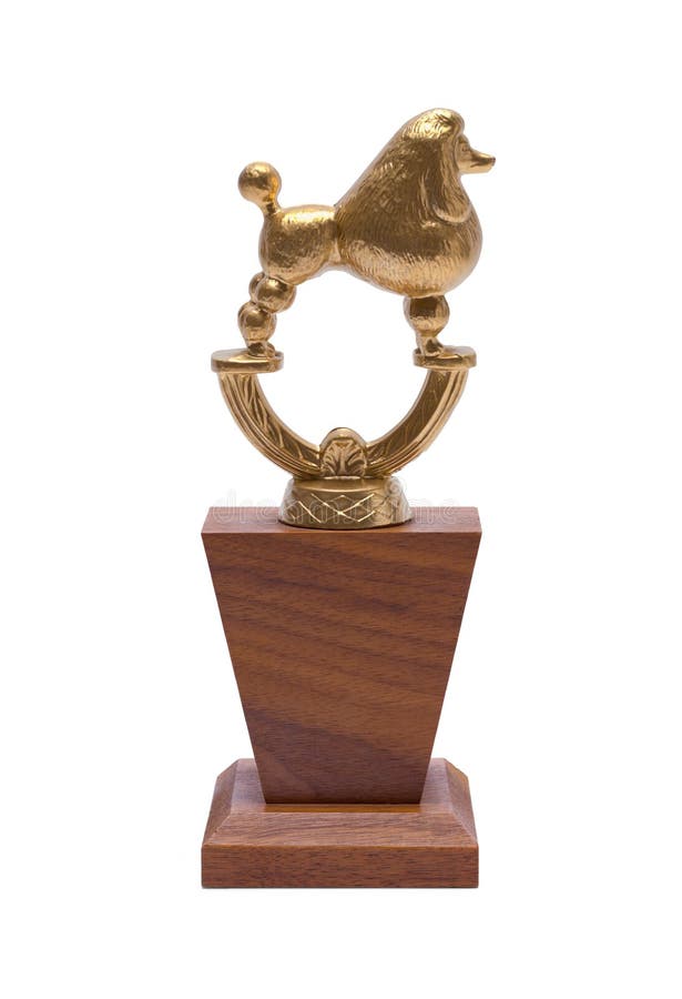 Dog Trophy stock image. Image of canine, award, trophy - 122930023