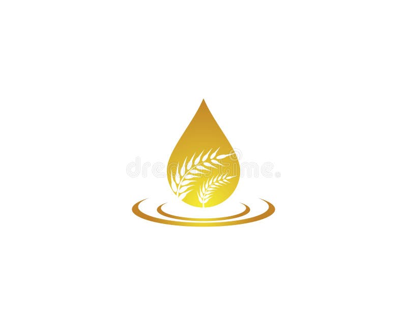 Gold Drop Logo Template Vector Icon Illustration Stock Vector ...