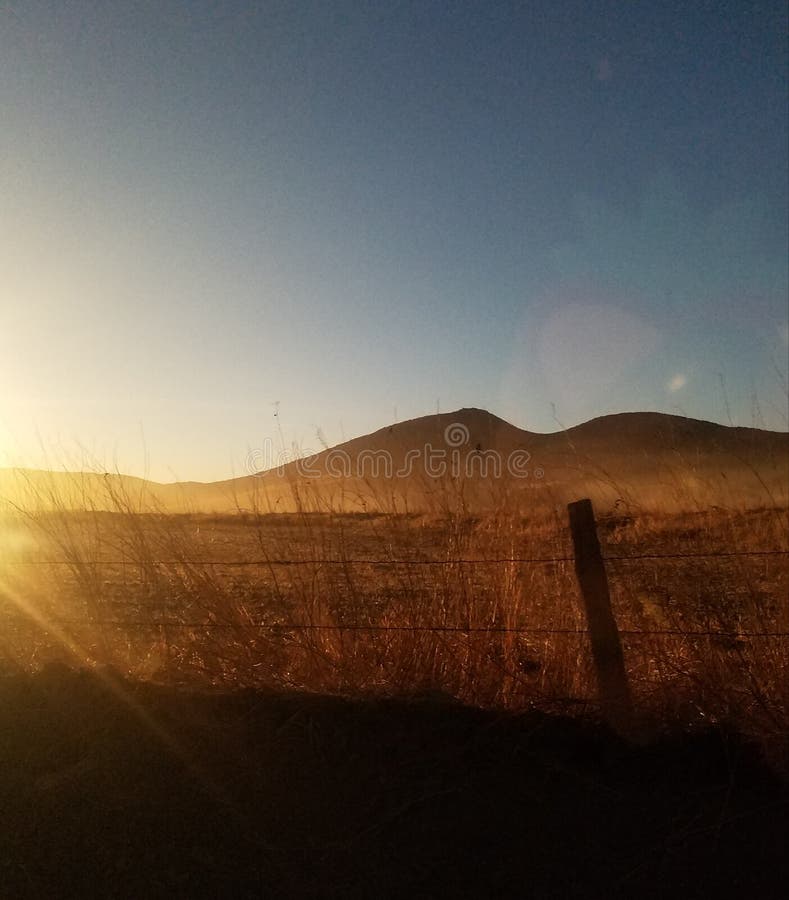 Gold-Dust stock photo. Image of dust, golen, dawn, goldenhour - 120265204