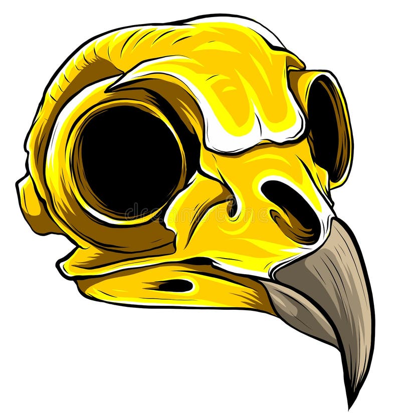Eagle Skull Drawing