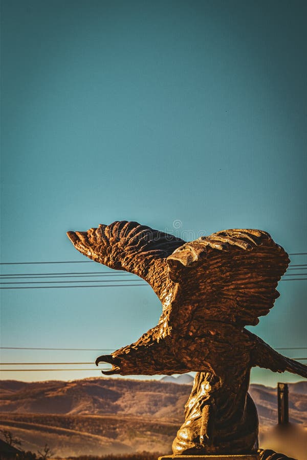 Gold eagle stock photo. Image of birds, eagle, gold - 212140108