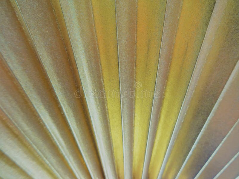 861 Gold Fan Texture Stock Photos - Free & Royalty-Free Stock Photos ...