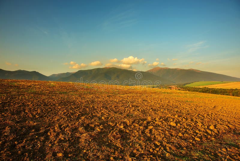 Gold field stock image. Image of brown, clouds, scenery - 11161479