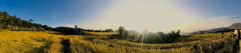 Lights of the day stock image. Image of lights, gold - 138024739