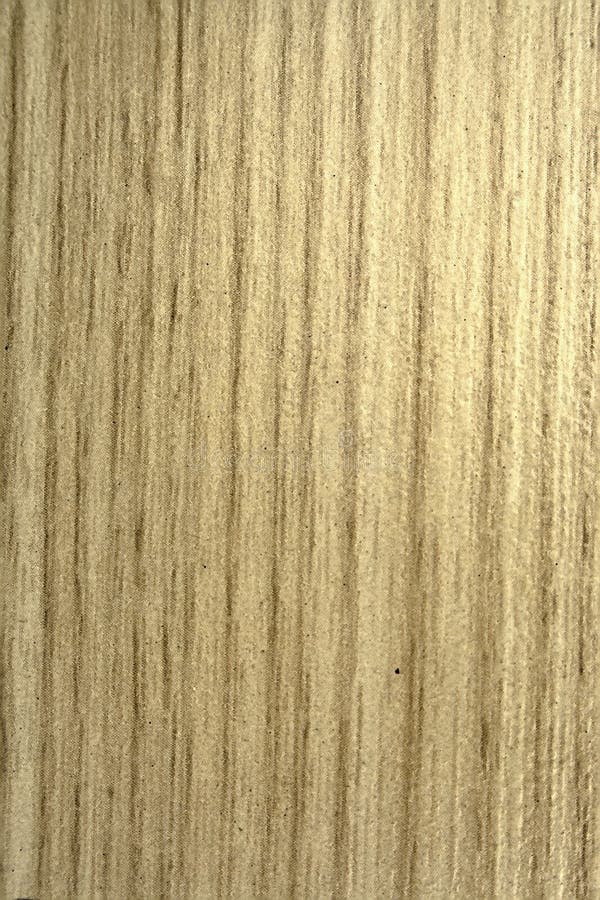 Gold fir, texture old wood stock photo. Image of design - 87614454