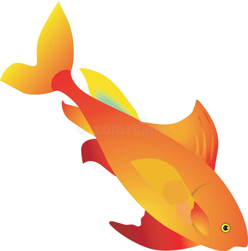 Gold fish stock vector. Illustration of fish, pets, water - 3296826