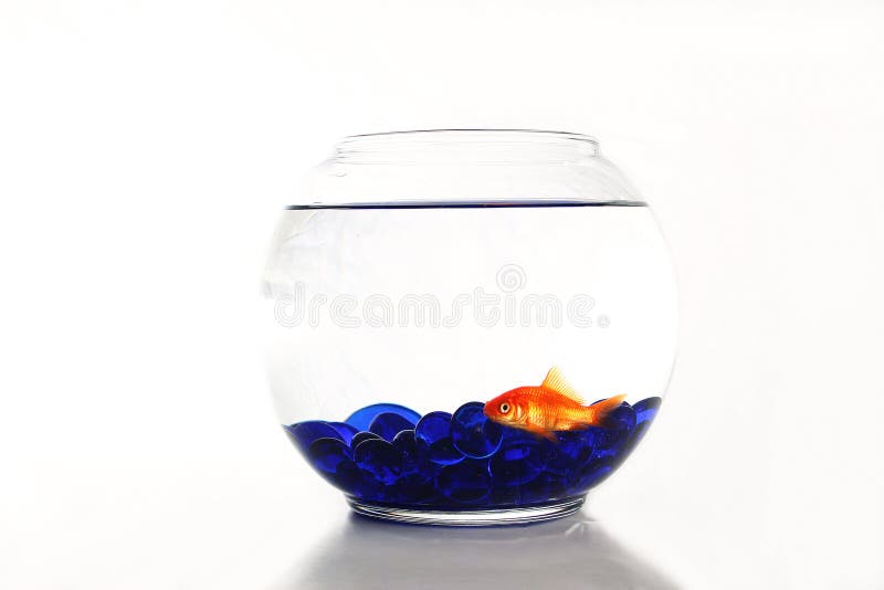 Goldfish Bowl Rocks Stock Photos - Free & Royalty-Free Stock Photos ...