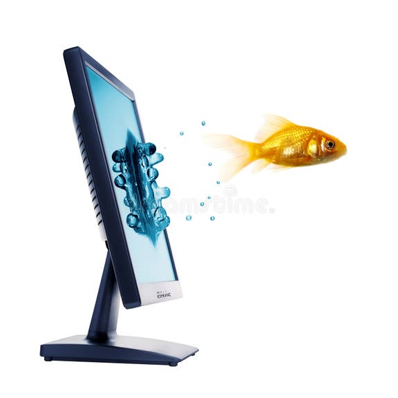 Gold Fish and Computer Monitor Stock Image - Image of wide, visual: 2599461